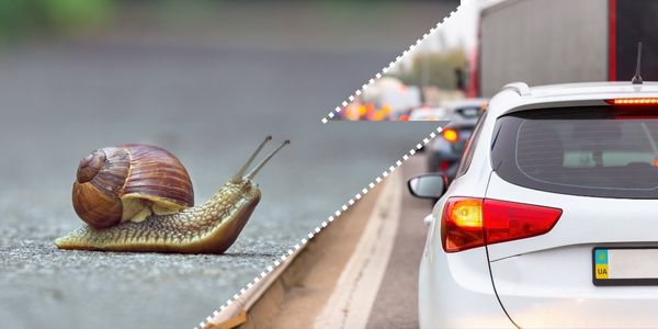 What Causes Low Speed Pre-Ignition? - BG Find A Shop